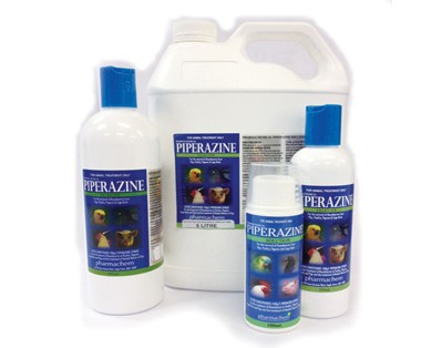 Piperazine Solution 100ml - Poultry Needs
