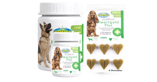 Heartgold Plus | Heartwormers - Pets Megastore