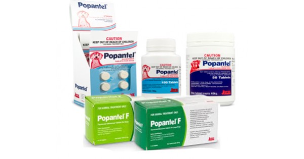 Popantel Wormers | Intestinal Wormers - Pets Megastore