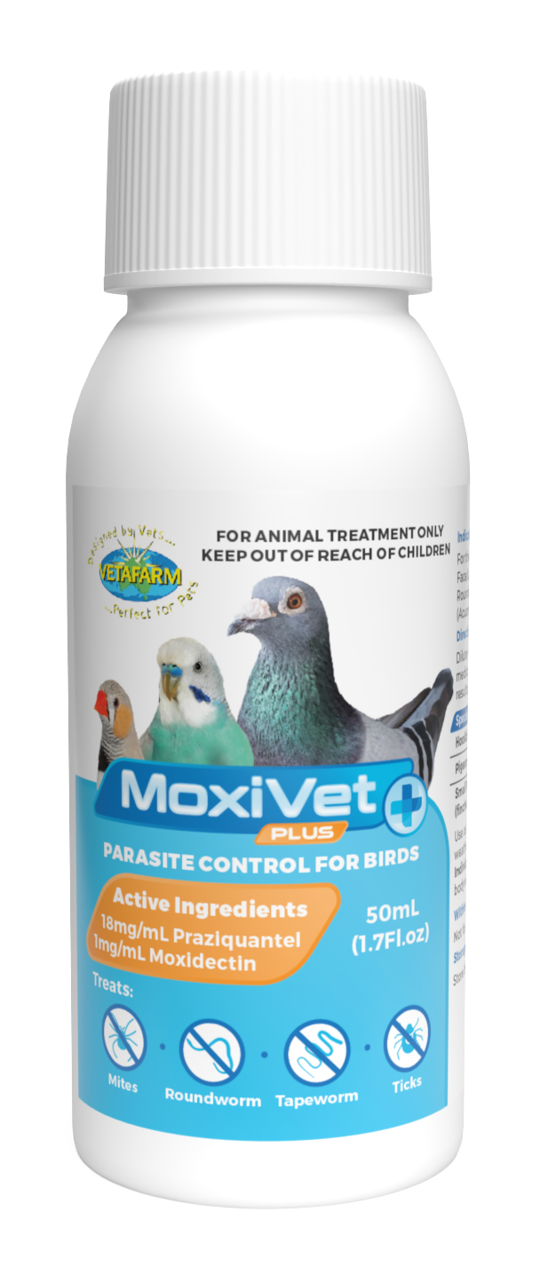 MoxiVet Plus - 8890