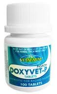 Doxyvet-P Antibiotic Tablets - Bird Products