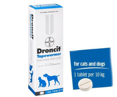 Droncit Dog & Cat Tapewormer 10kg (22lb) - 5100