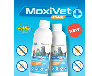 MoxiVet Plus - 8890