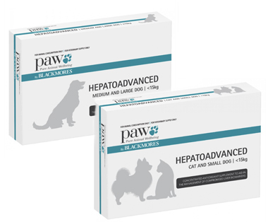 Paw Hepatoadvanced Liver Support - pawhepa