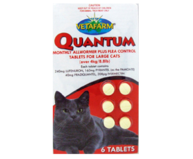 Quantum Tablets for Large Cats - Cats & Kittens