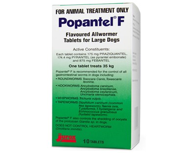 Popantel F Allwormer 35kg (77lbs) - Dogs & Puppies