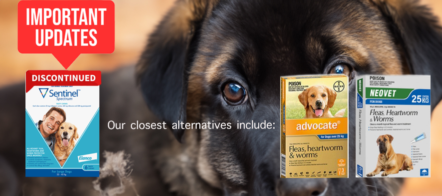 Pets Megastore - Discount Medical Supplies for Pets